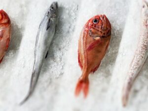 Our Fish – Sealord