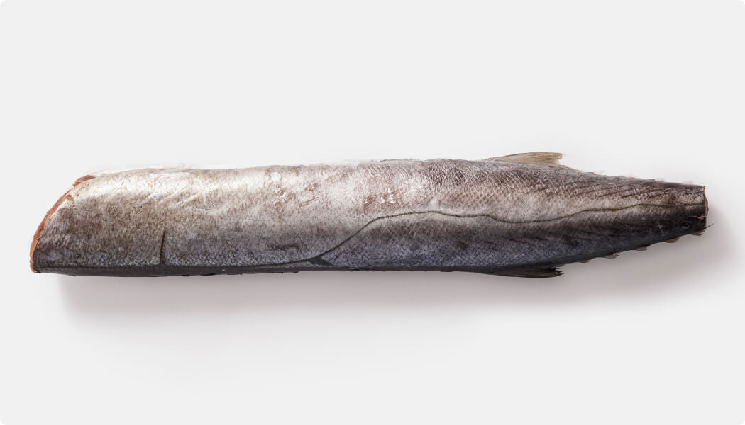 Barracouta Dressed – Wild-Caught Fish | Sealord NZ