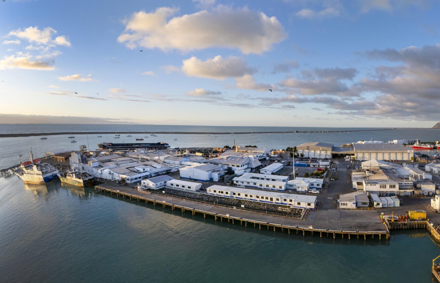 About Us – New Zealand based Seafood Company | Sealord